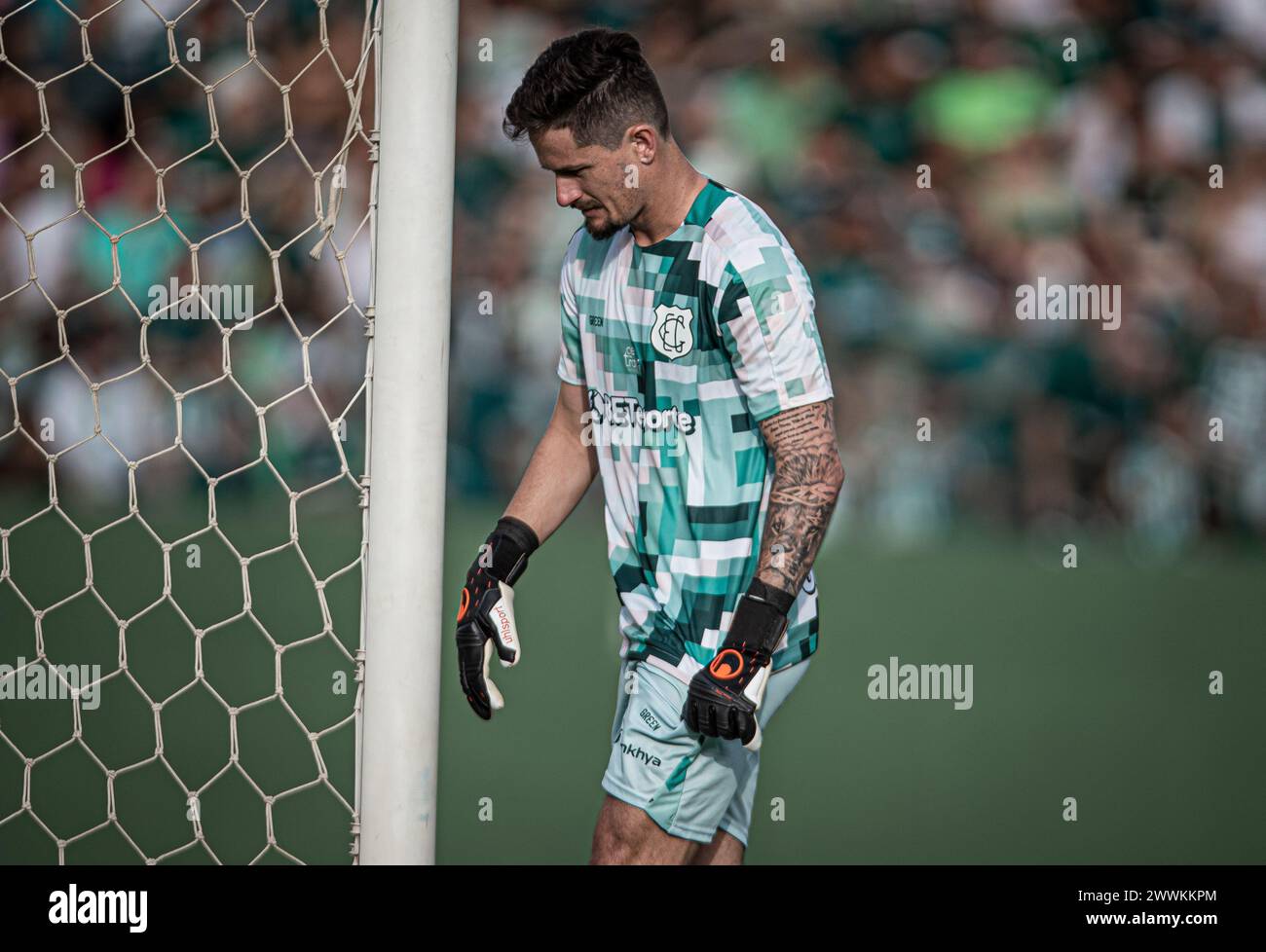 GO - GOIANIA - 03/24/2024 - COPA VERDE 2024, GOIAS (Photo by Isabela ...