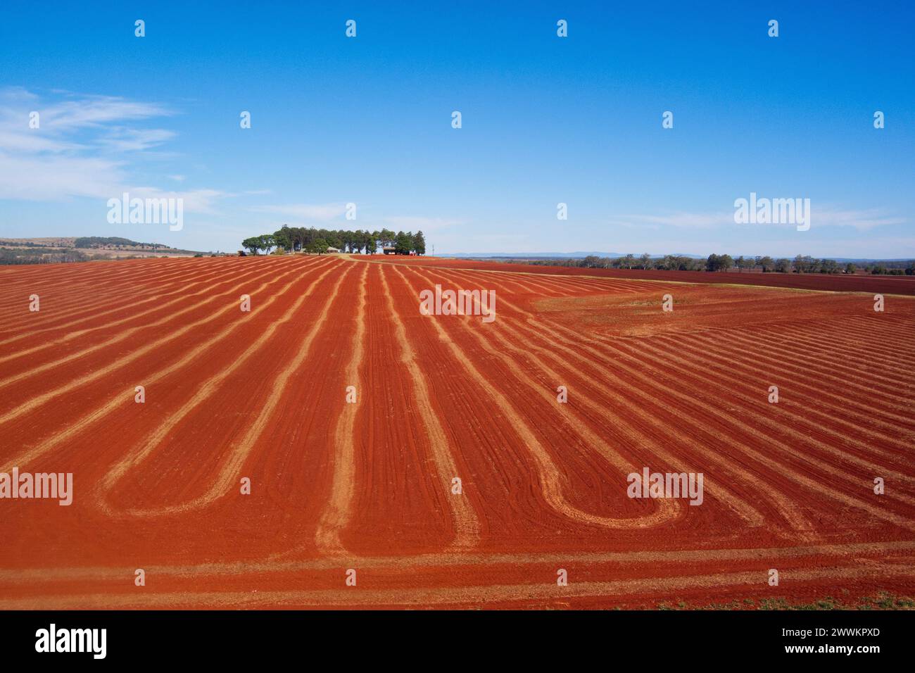 Aerial of freshly ploughed red volcanic soil farmland near Wooroolin ...