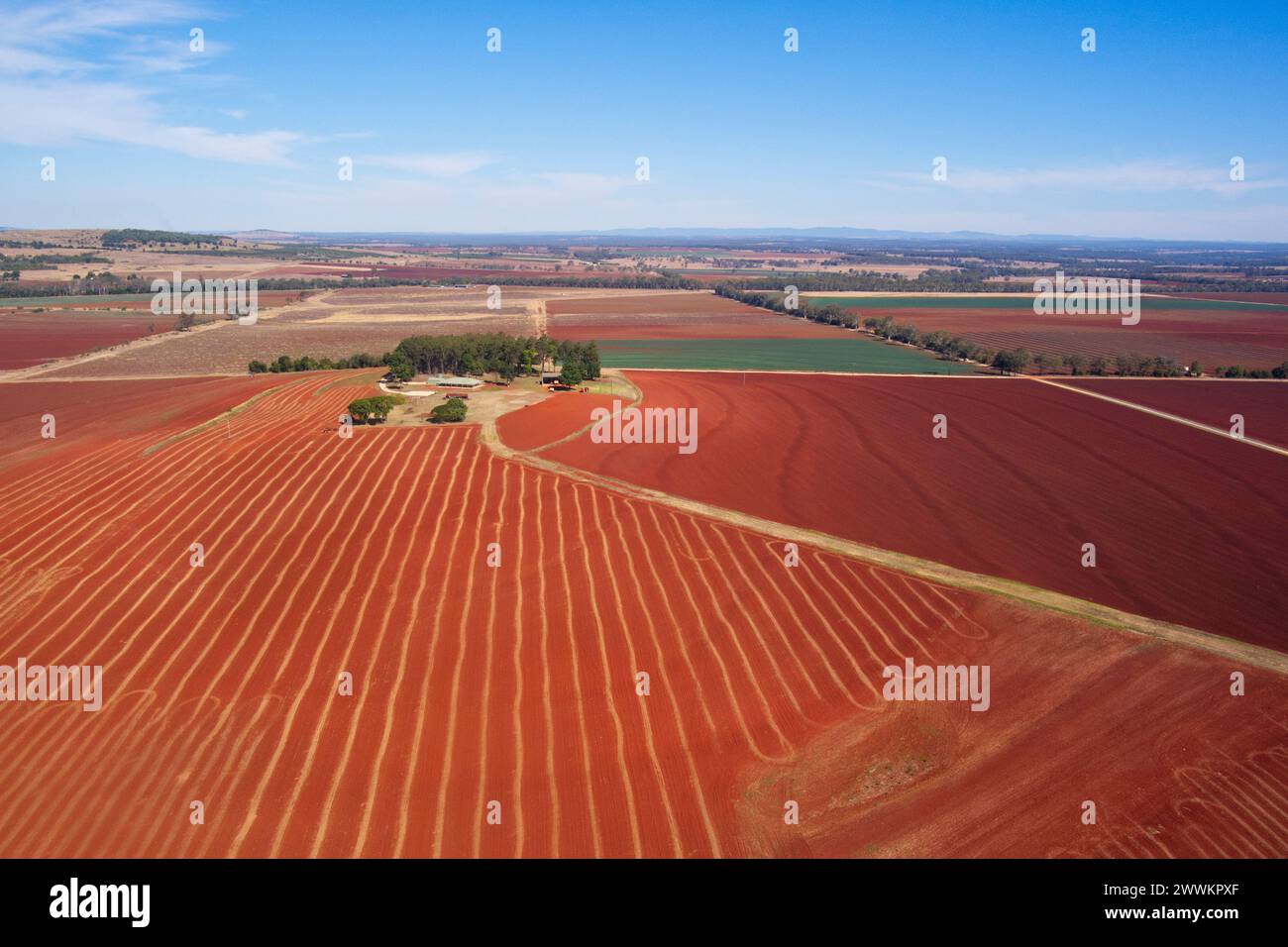 Aerial of freshly ploughed red volcanic soil farmland near Wooroolin ...