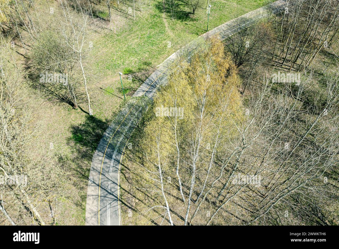 curved bicycle lane surrounded by green grass and trees. spring park at ...