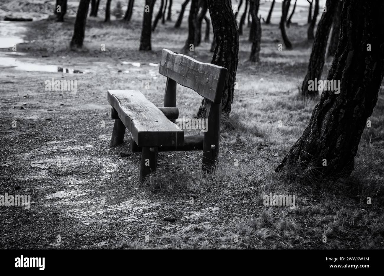 Detail of bench to sit and rest in nature Stock Photo - Alamy