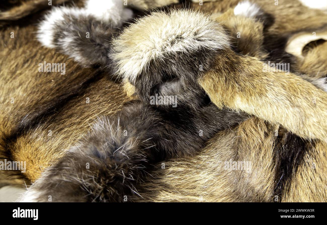 Animal skin detail for making clothes, hair Stock Photo - Alamy