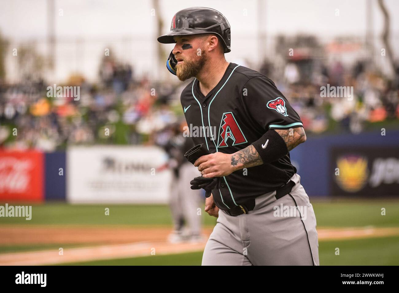 Arizona Diamondbacks catcher Tucker Barnhart (16) scores in the second ...