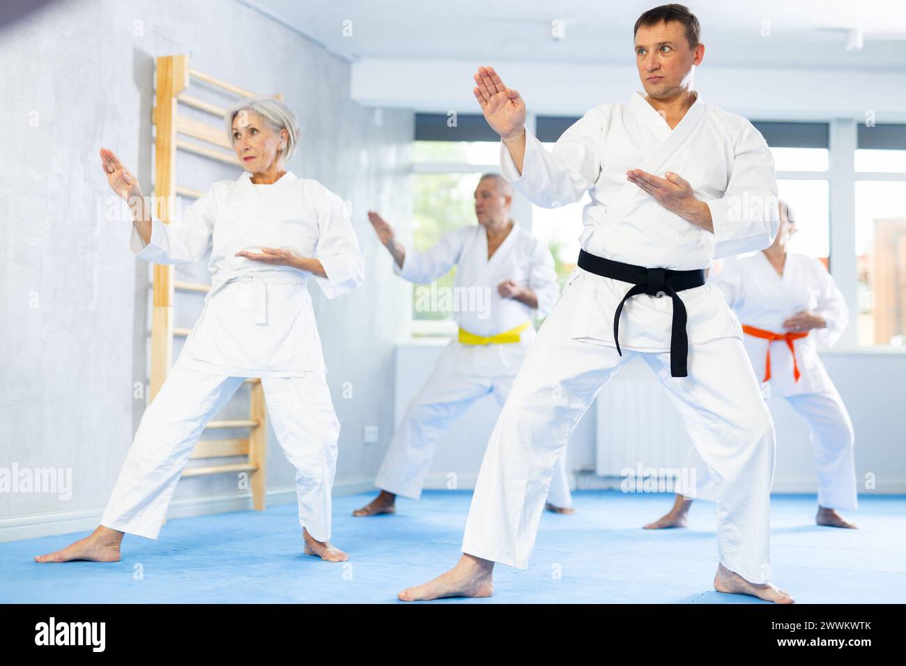 Learning karate techniques hi-res stock photography and images - Alamy
