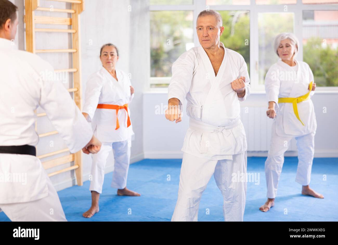 During kata karate training, senior students repeat techniques and ...