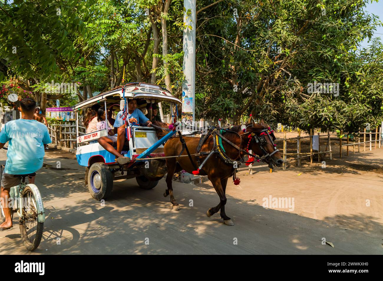 A traditional horse cart (Cidomo) waiting for tourists on the ...