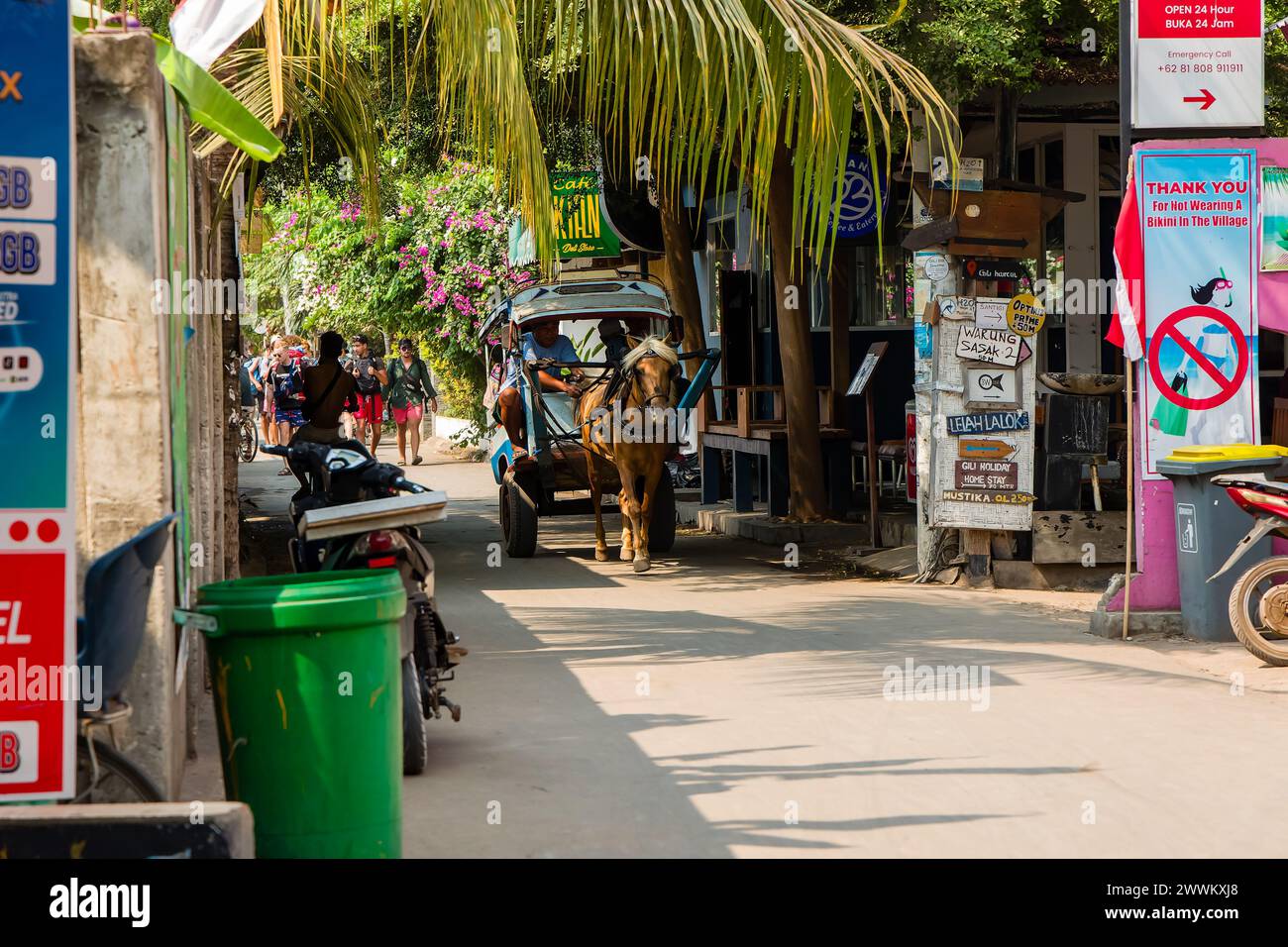 A traditional horse cart (Cidomo) waiting for tourists on the ...