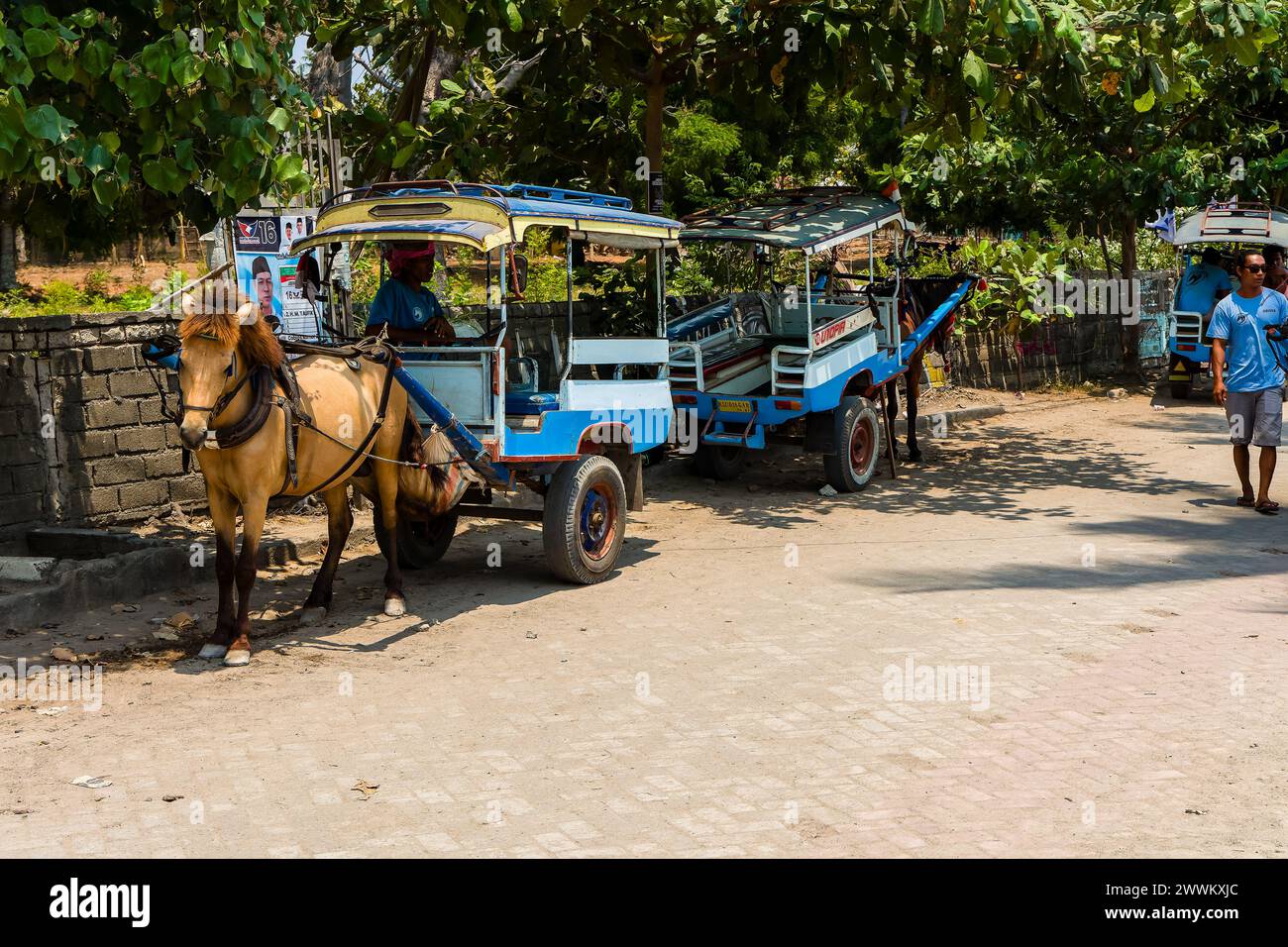 A traditional horse cart (Cidomo) waiting for tourists on the ...