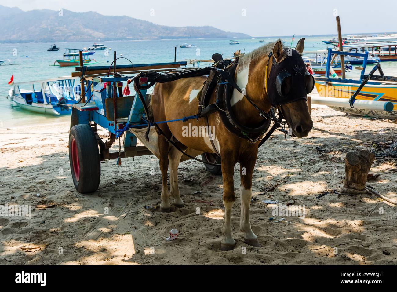 A traditional horse cart (Cidomo) waiting for a load to transport Stock ...