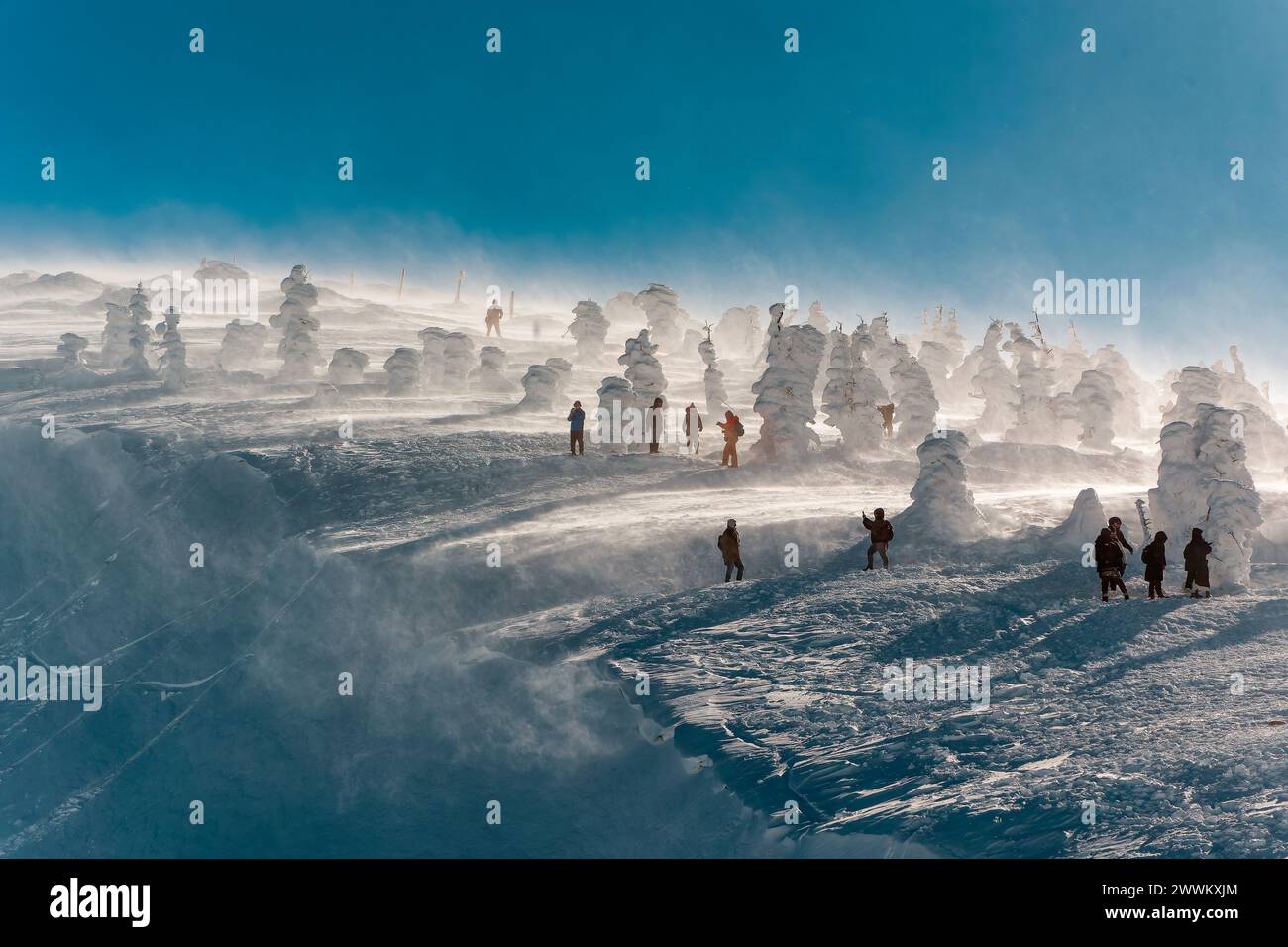 Hikers and skiers around frozen trees and rime field at the famous ...