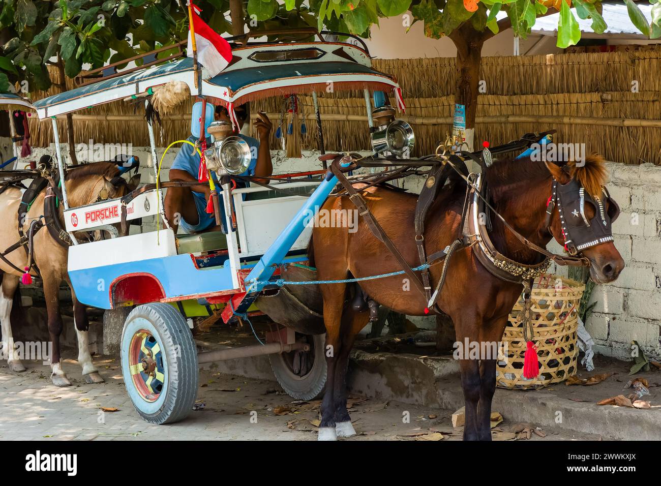 A traditional horse cart (Cidomo) carrying tourists on the island of ...