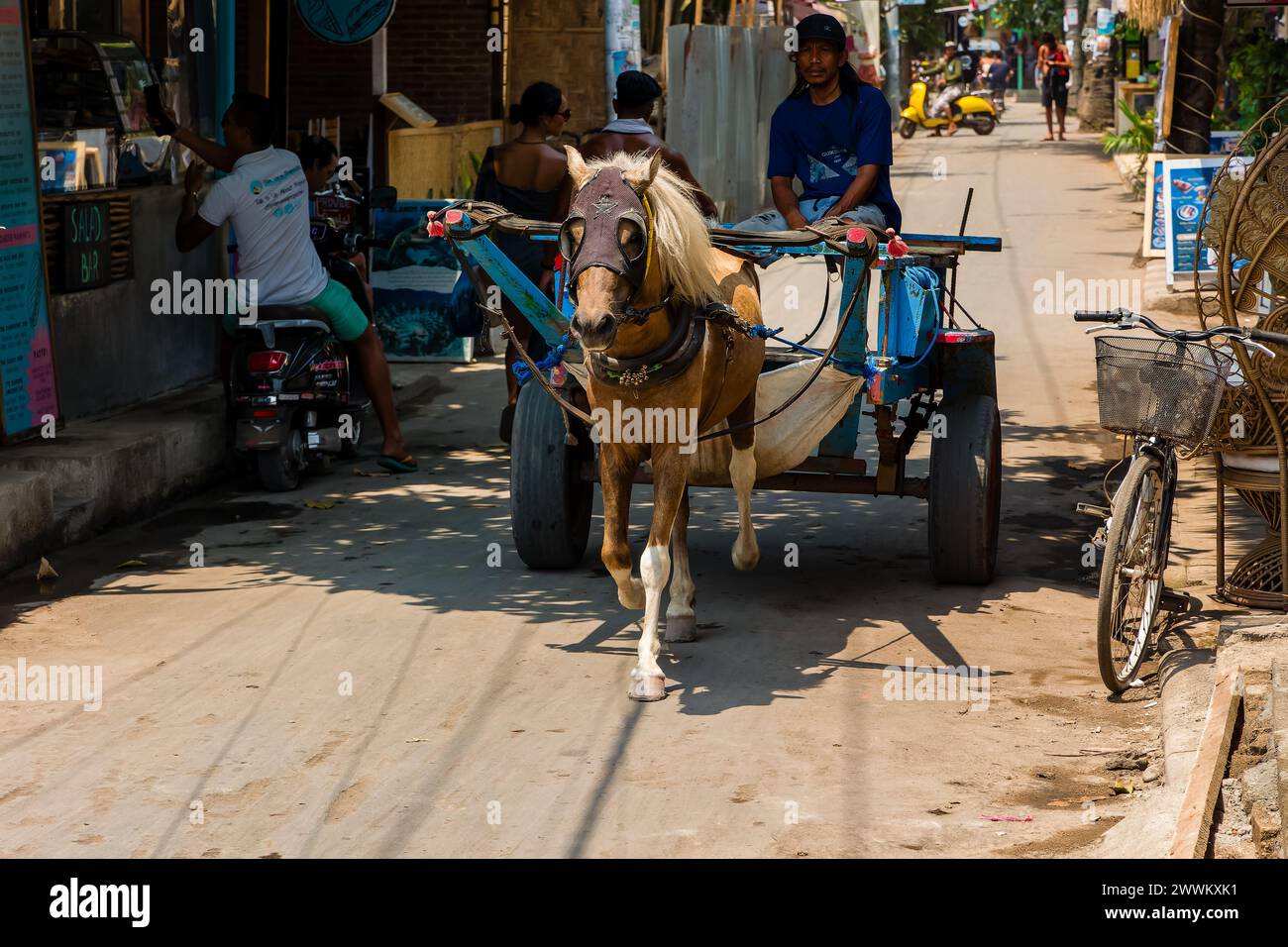 A traditional horse cart (Cidomo) waiting for a load to transport. Use ...