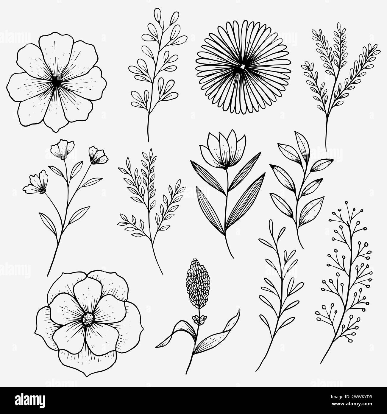 hand drawn flower design vector outline illustration set Stock Vector ...