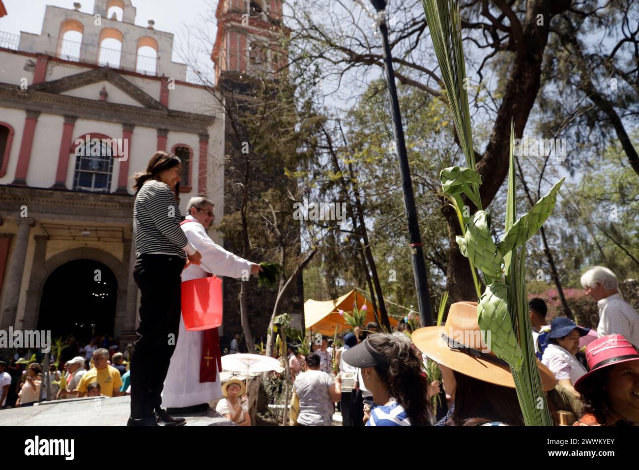 Non Exclusive: A Catholic devotee attends whit their palm branches at ...