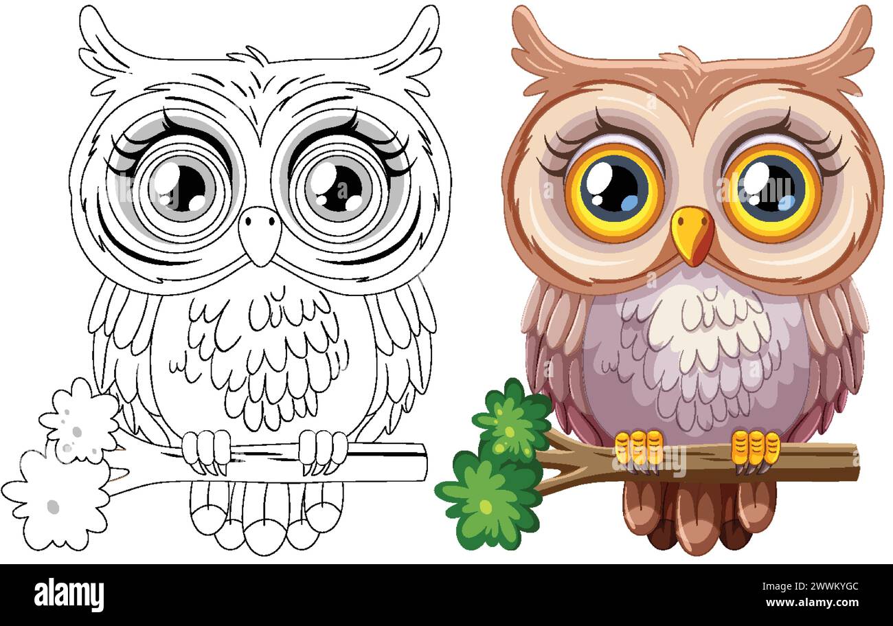 Vector illustration of an owl, colored and line art Stock Vector Image ...