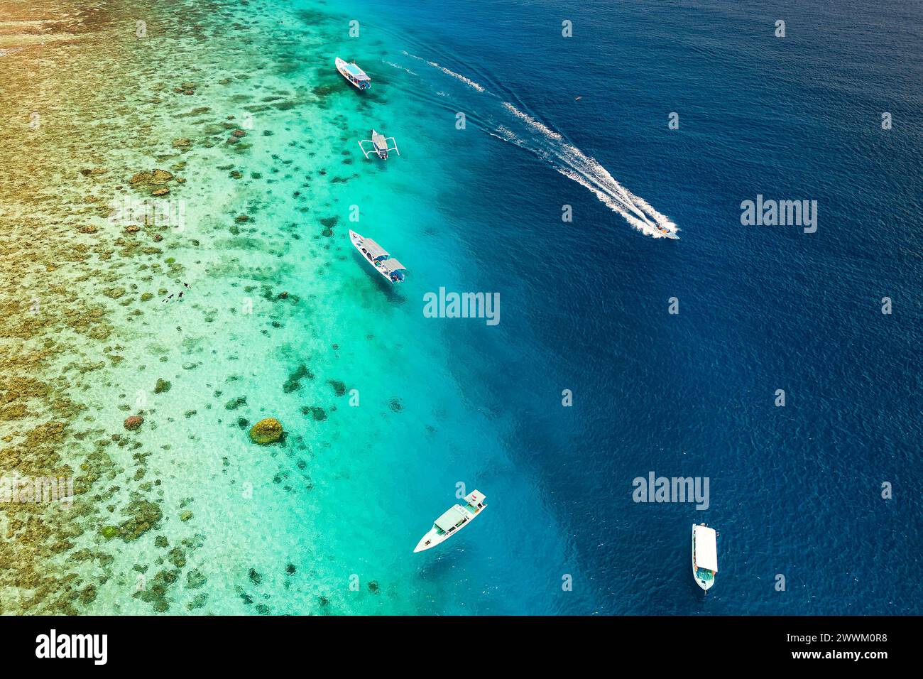 Top down aerial view of snorkel boats and tourists over a tropical ...