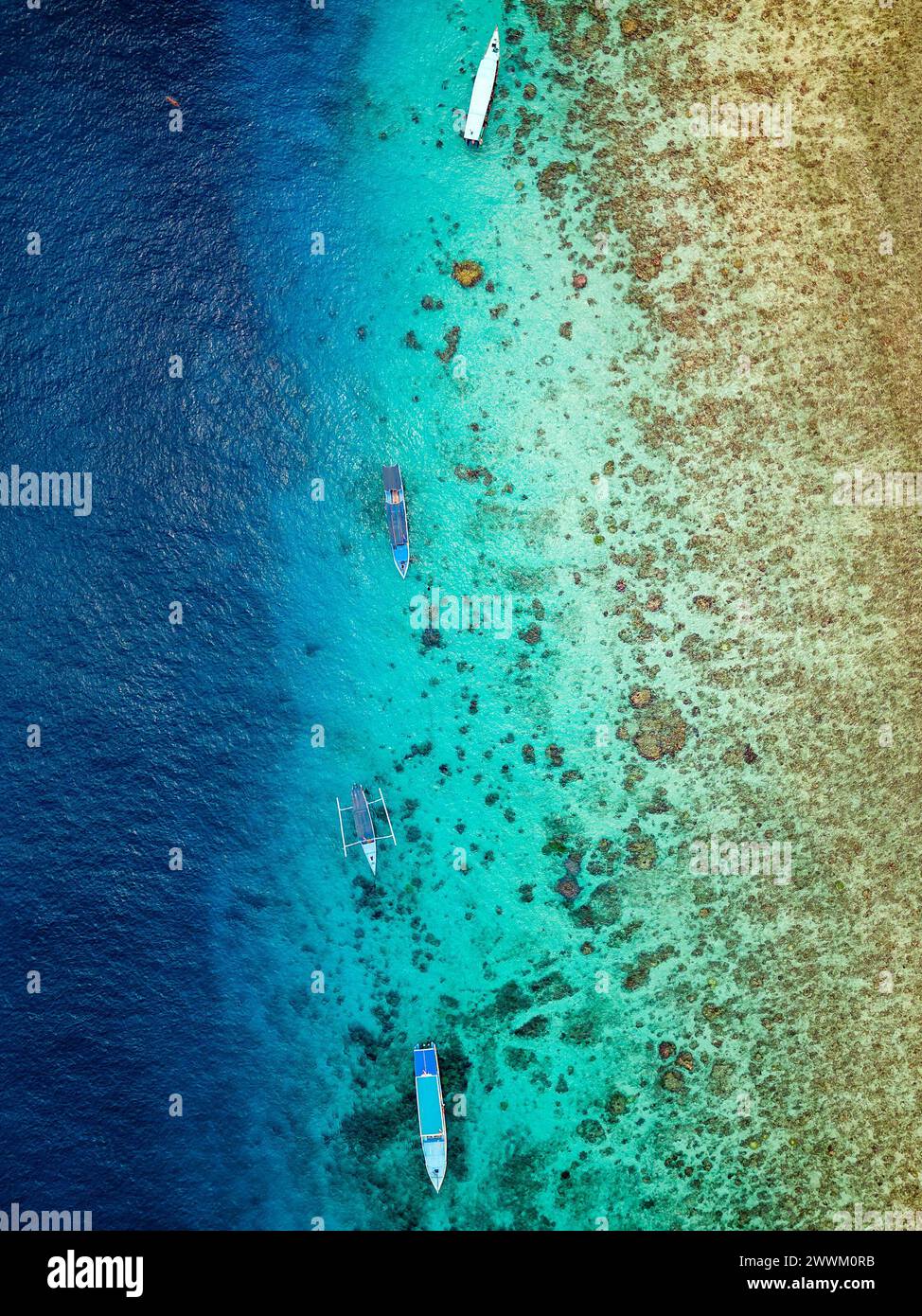 Aerial view of traditional outrigger boats with snorkelers and swimmers ...