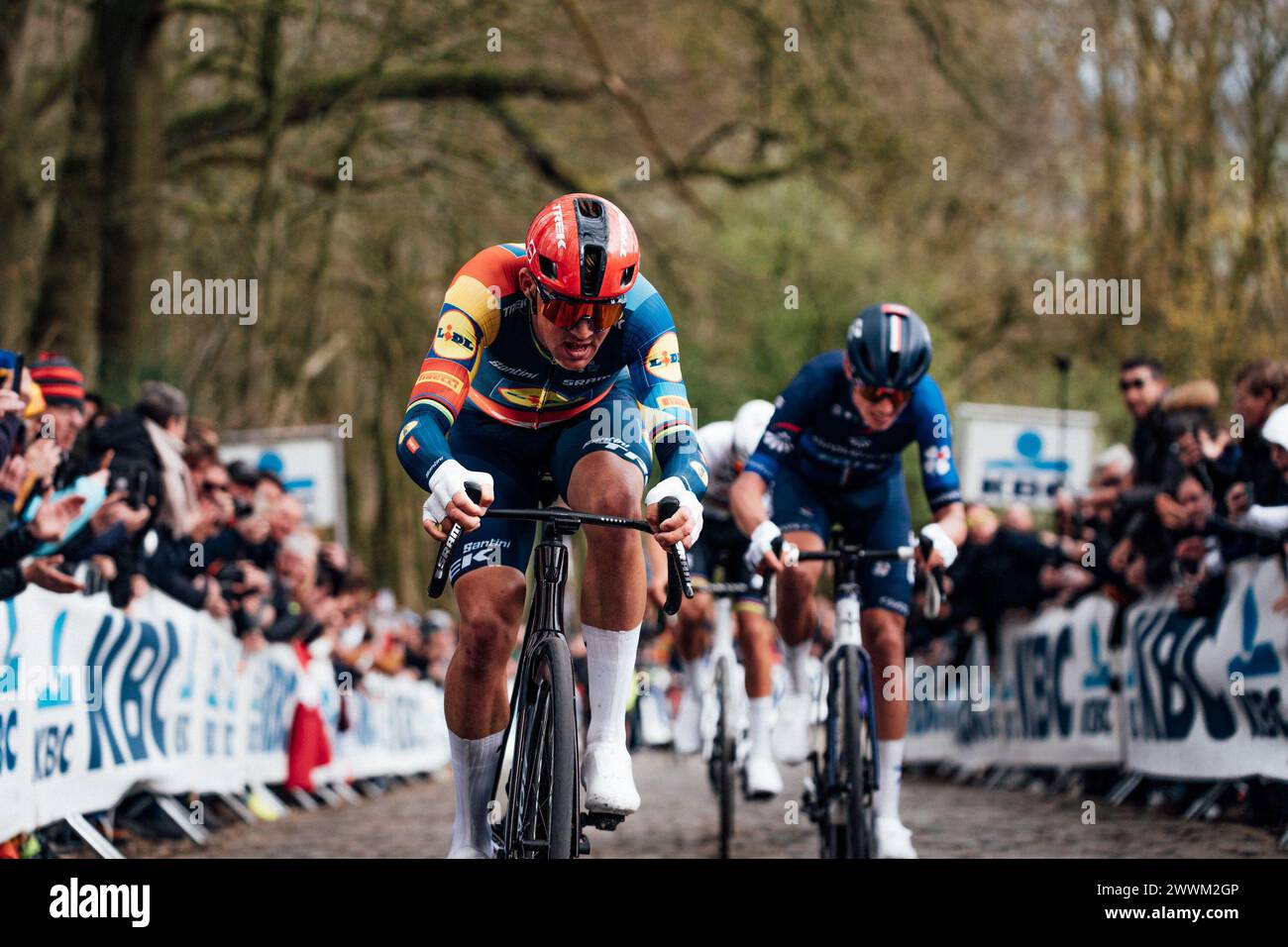 Wevelgem, Belgium. 25th Mar, 2024. Picture by Zac Williams/SWpix.com ...