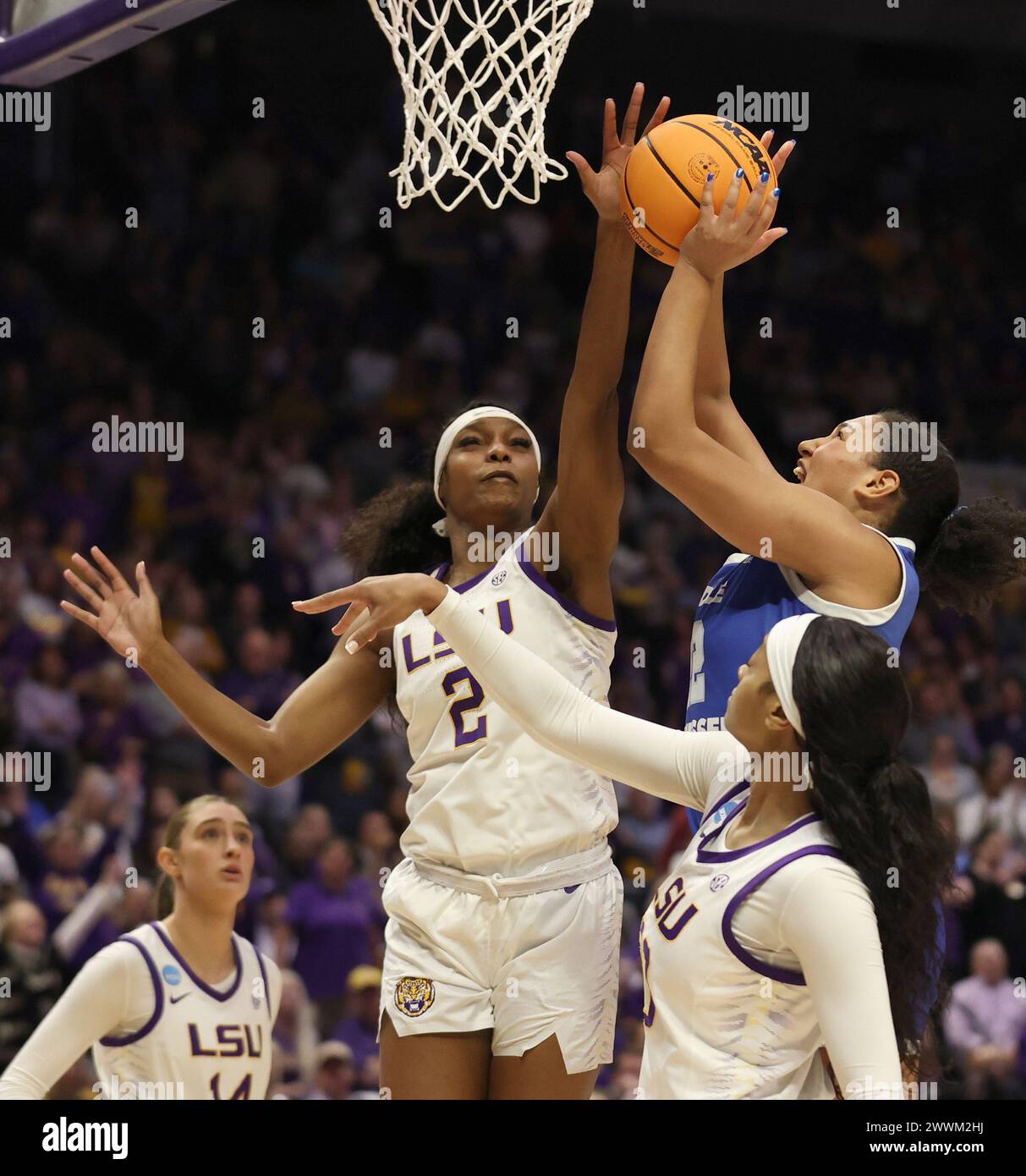 Baton Rouge, USA. 24th Mar, 2024. LSU Lady Tigers forward Amani ...