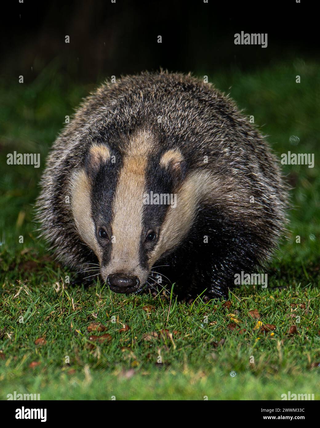 Dyfi valley hi-res stock photography and images - Alamy