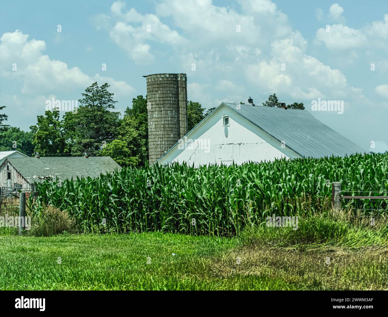 A rustic farm setting with a tall silo in the distance Stock Photo - Alamy