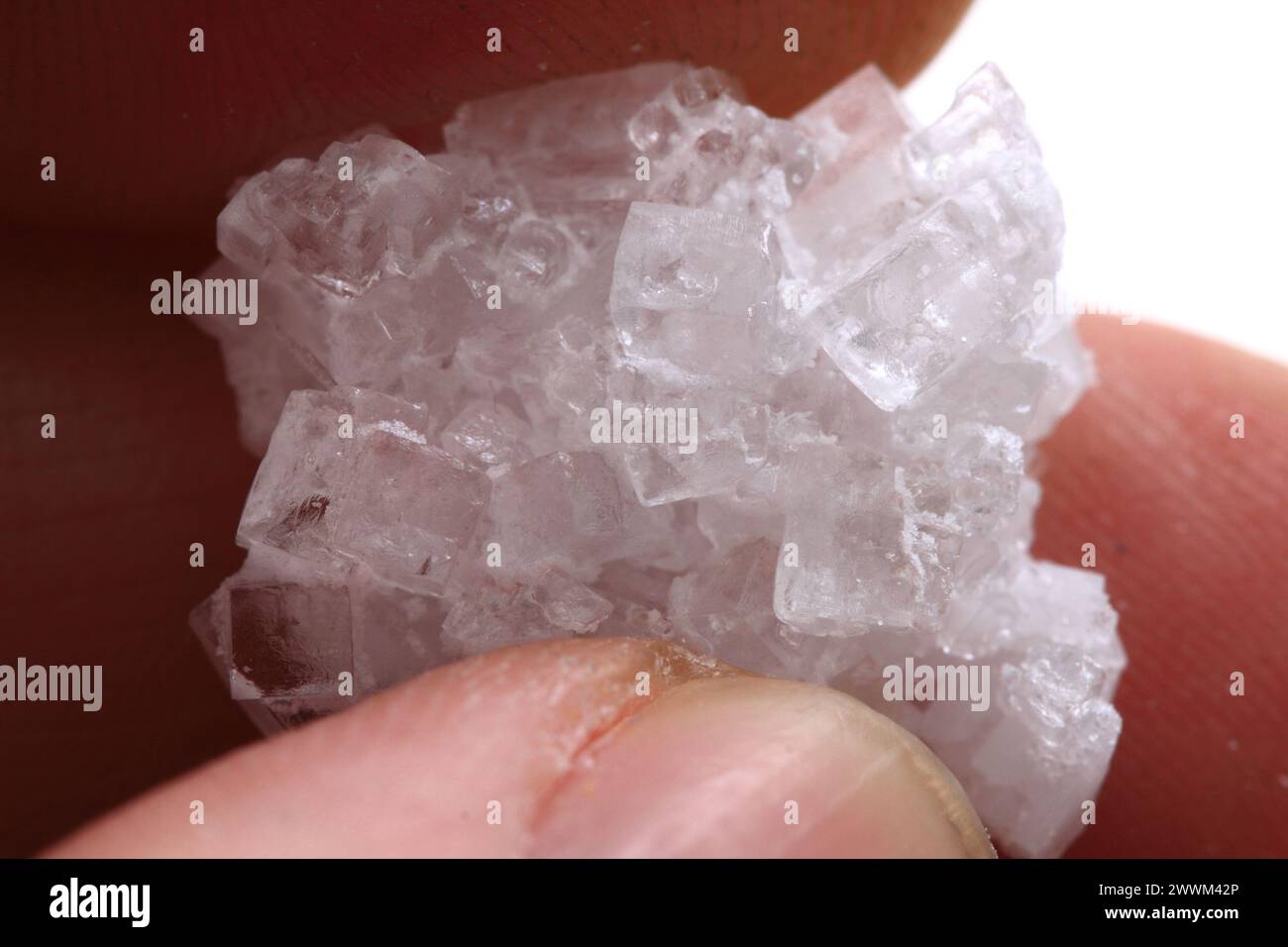 natural salt crystal in human hand isolated Stock Photo - Alamy