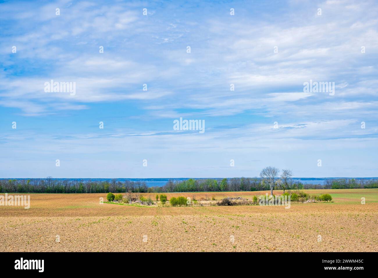 Farmland view with the horizon Stock Photo - Alamy