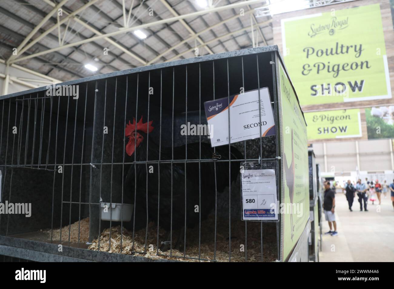 Sydney, Australia. Monday, 25th March 2024. The Sydney Royal Easter ...