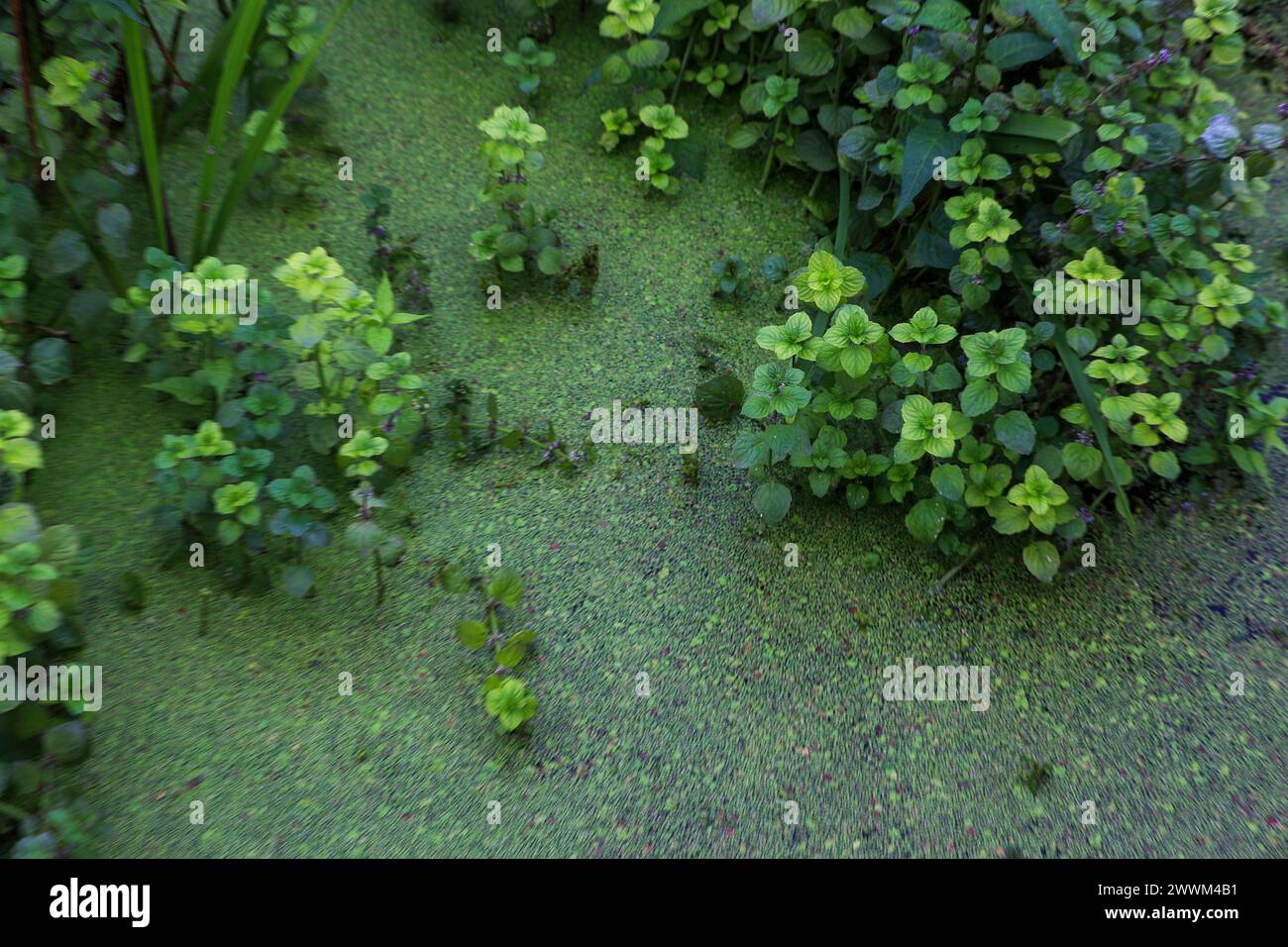 Lough neagh march 2024 hi-res stock photography and images - Alamy