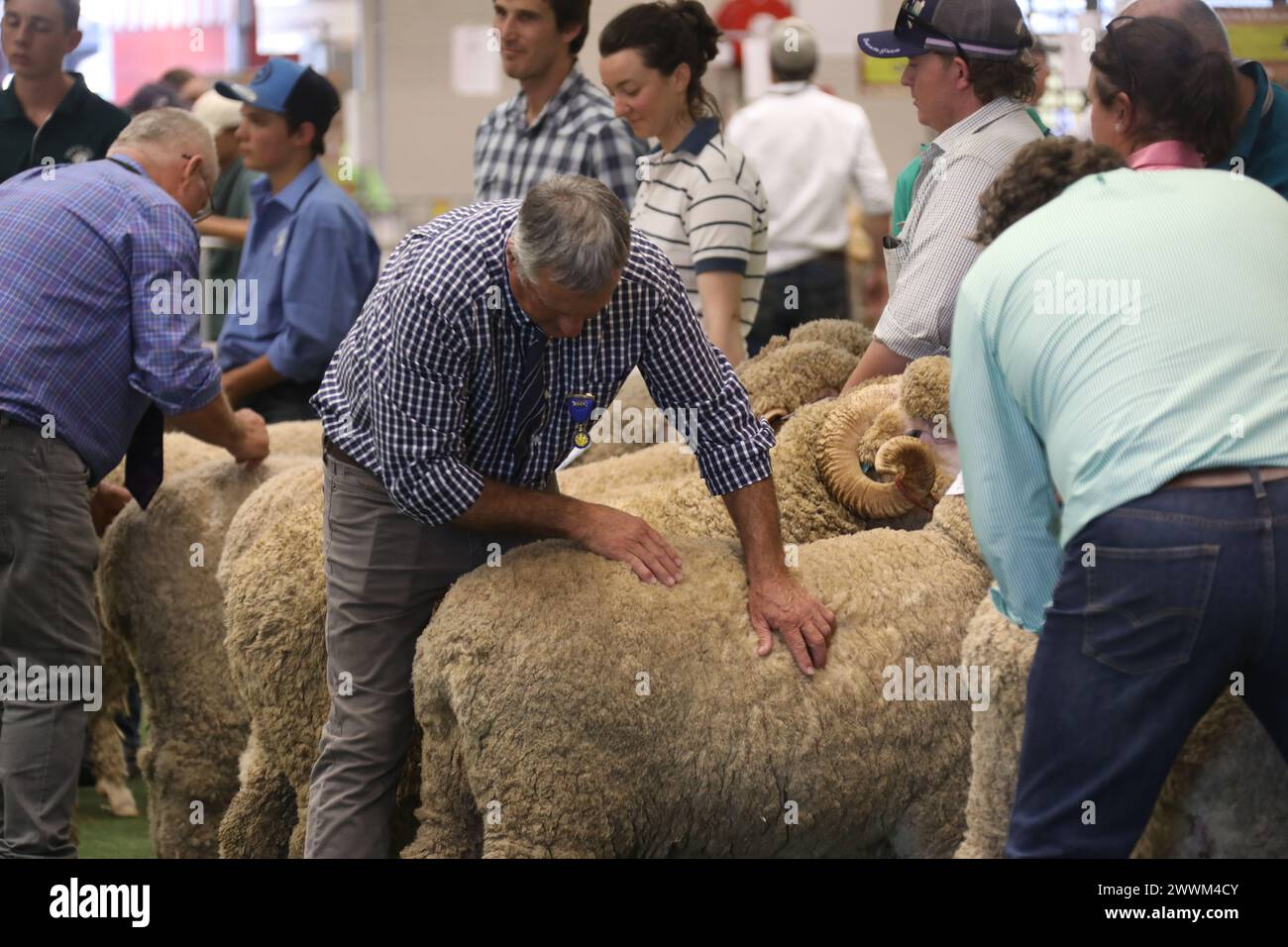Sydney, Australia. Monday, 25th March 2024. The Sydney Royal Easter ...