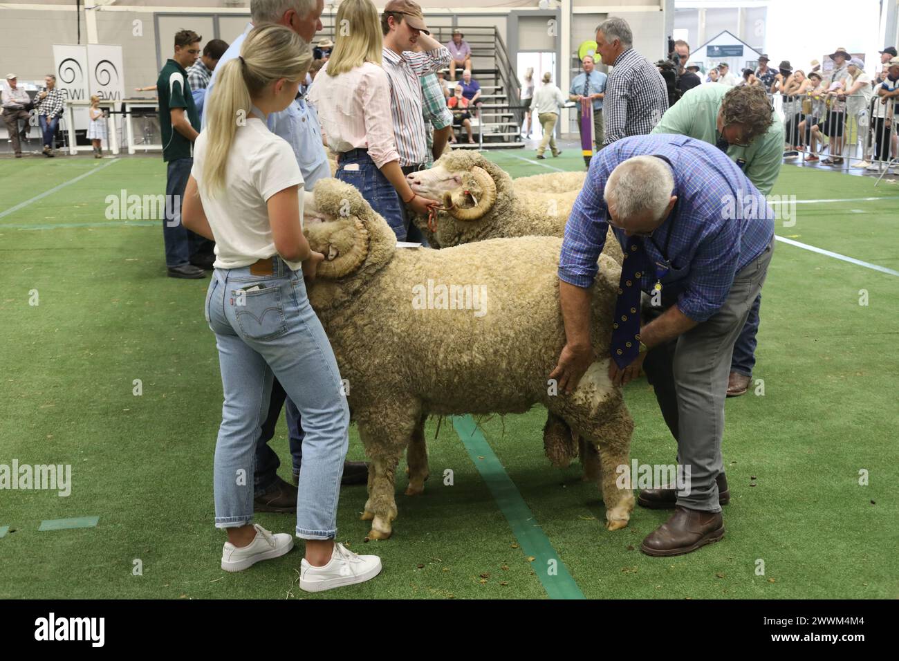 Sydney, Australia. Monday, 25th March 2024. The Sydney Royal Easter ...
