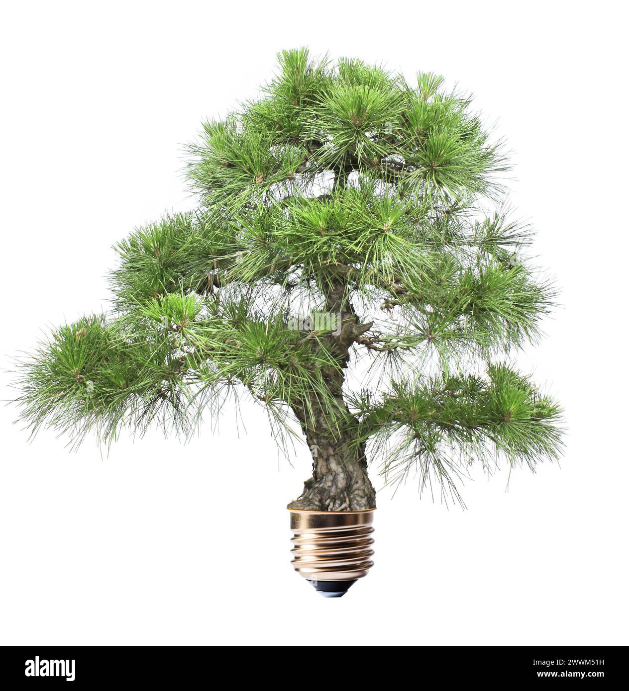 Light bulb with growing green pine tree. Ecological technology, eco ...
