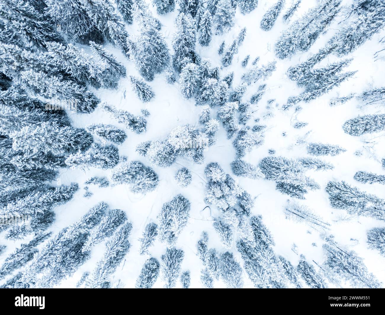 Overhead aerial shot dense winter hi-res stock photography and images ...