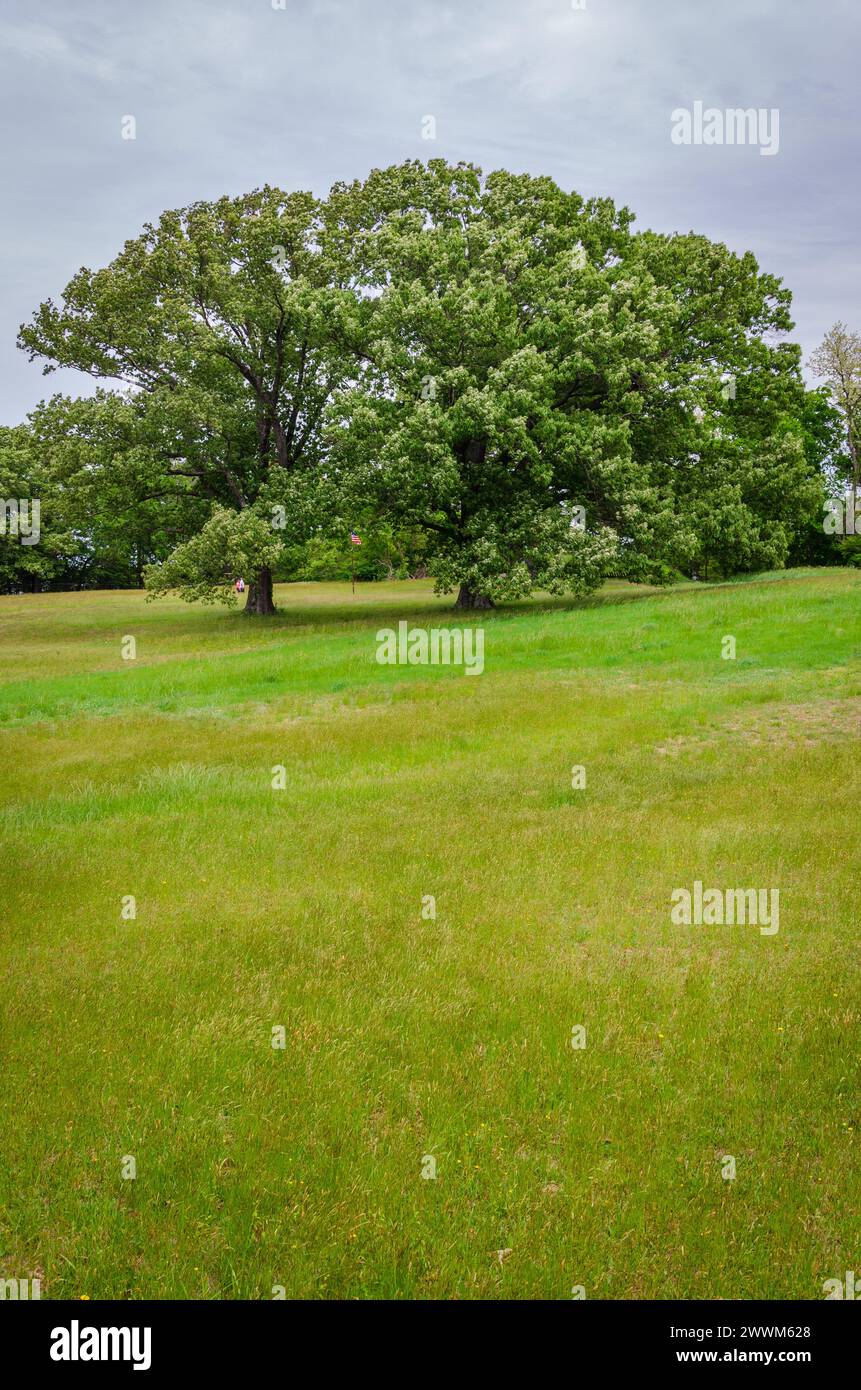 Yorktown Battlefield, Colonial National Historical Park in Virginia ...