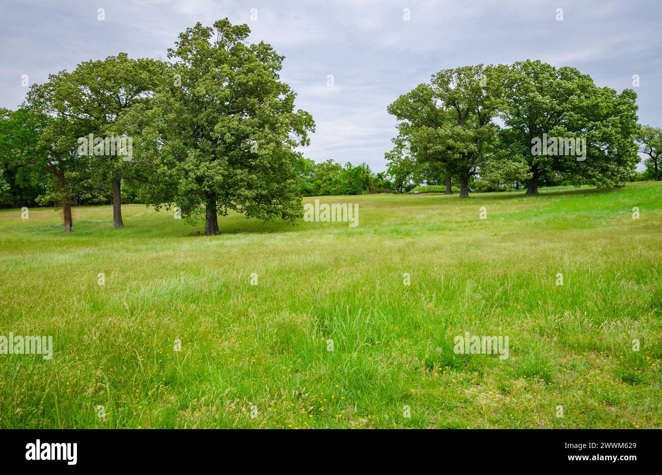 Yorktown Battlefield, Colonial National Historical Park in Virginia ...