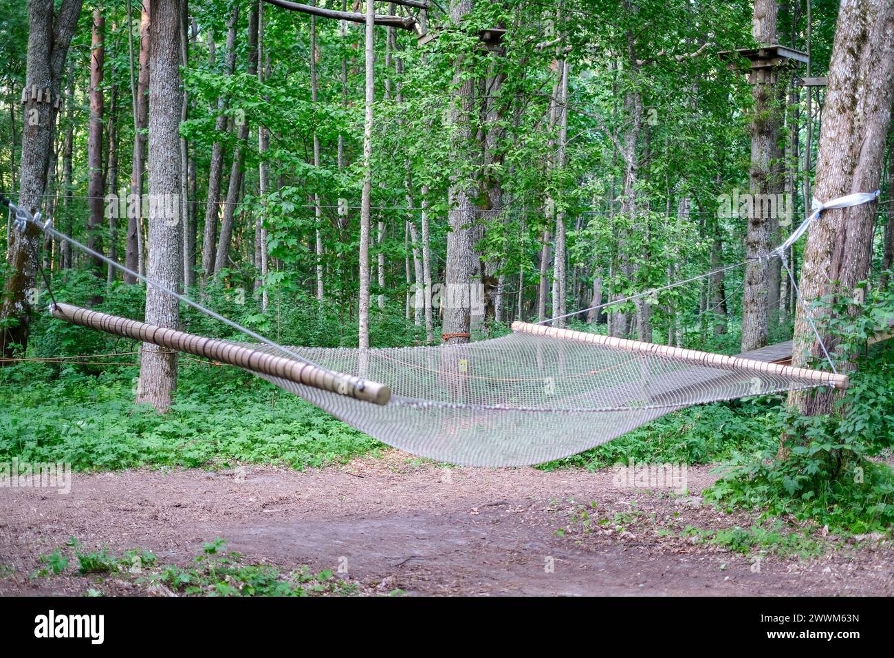 Relaxing hammock strung between two trees in a shady forest retreat. Perfect for summer naps ...
