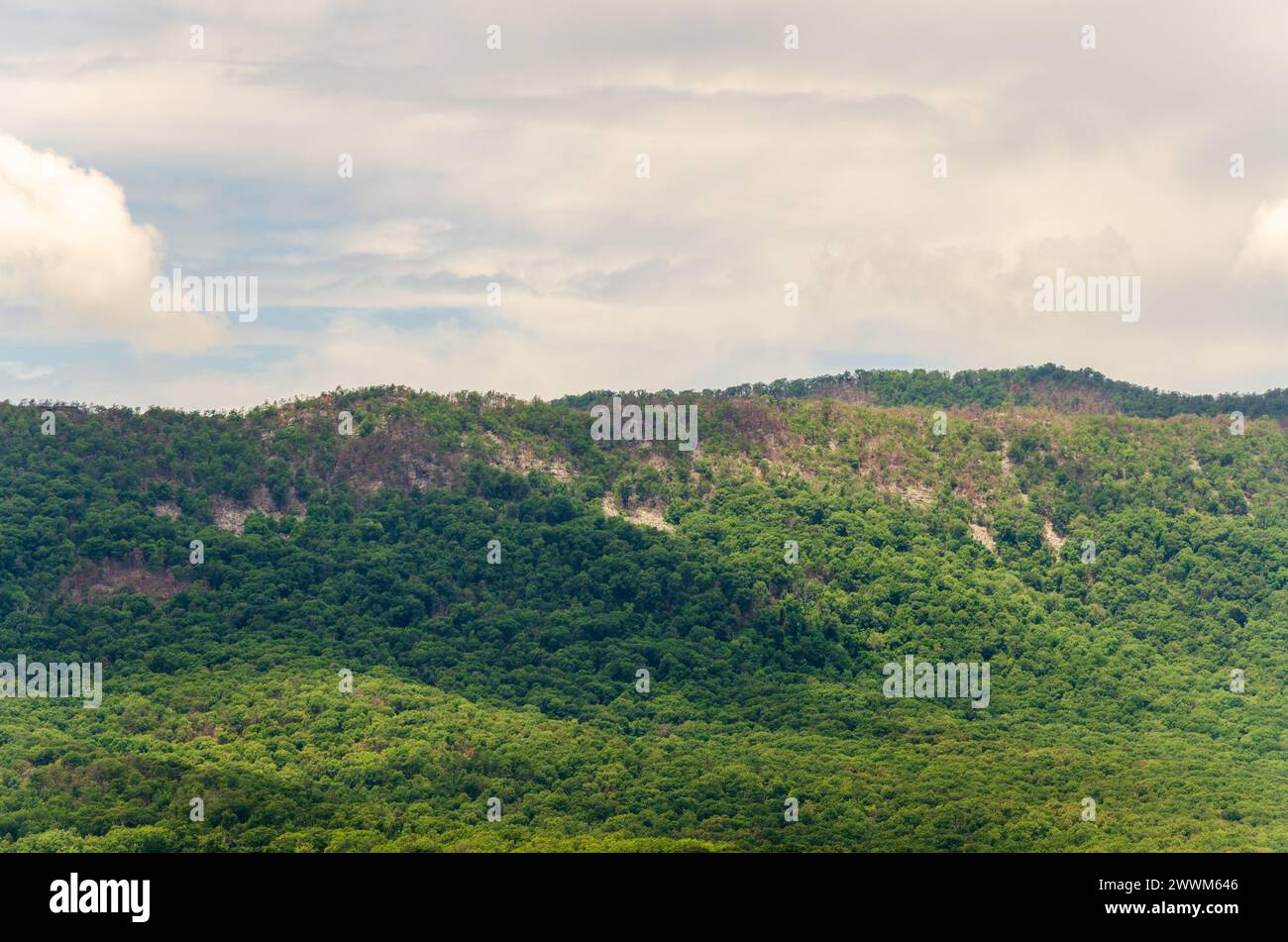 Shenandoah River Raymond R. "Andy" Guest Jr. State Park in Bentonville ...