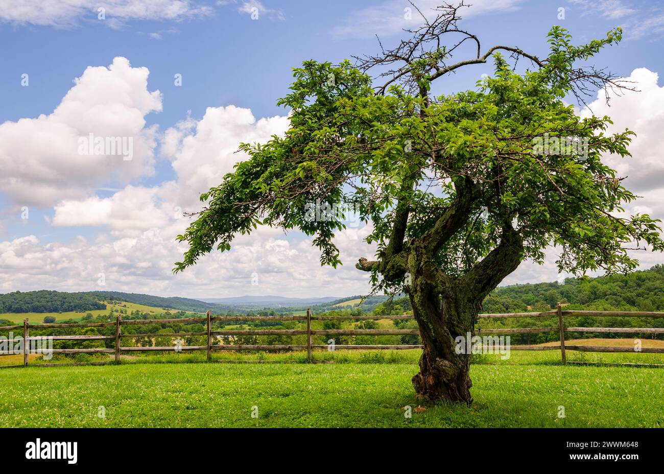 Sky Meadows State Park, Virginia in the Blue Ridge Mountains, USA Stock ...