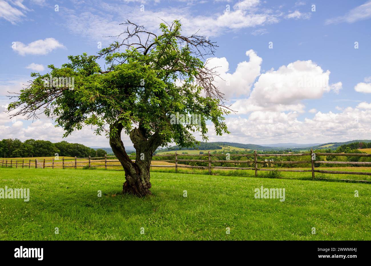 Sky Meadows State Park, Virginia in the Blue Ridge Mountains, USA Stock ...