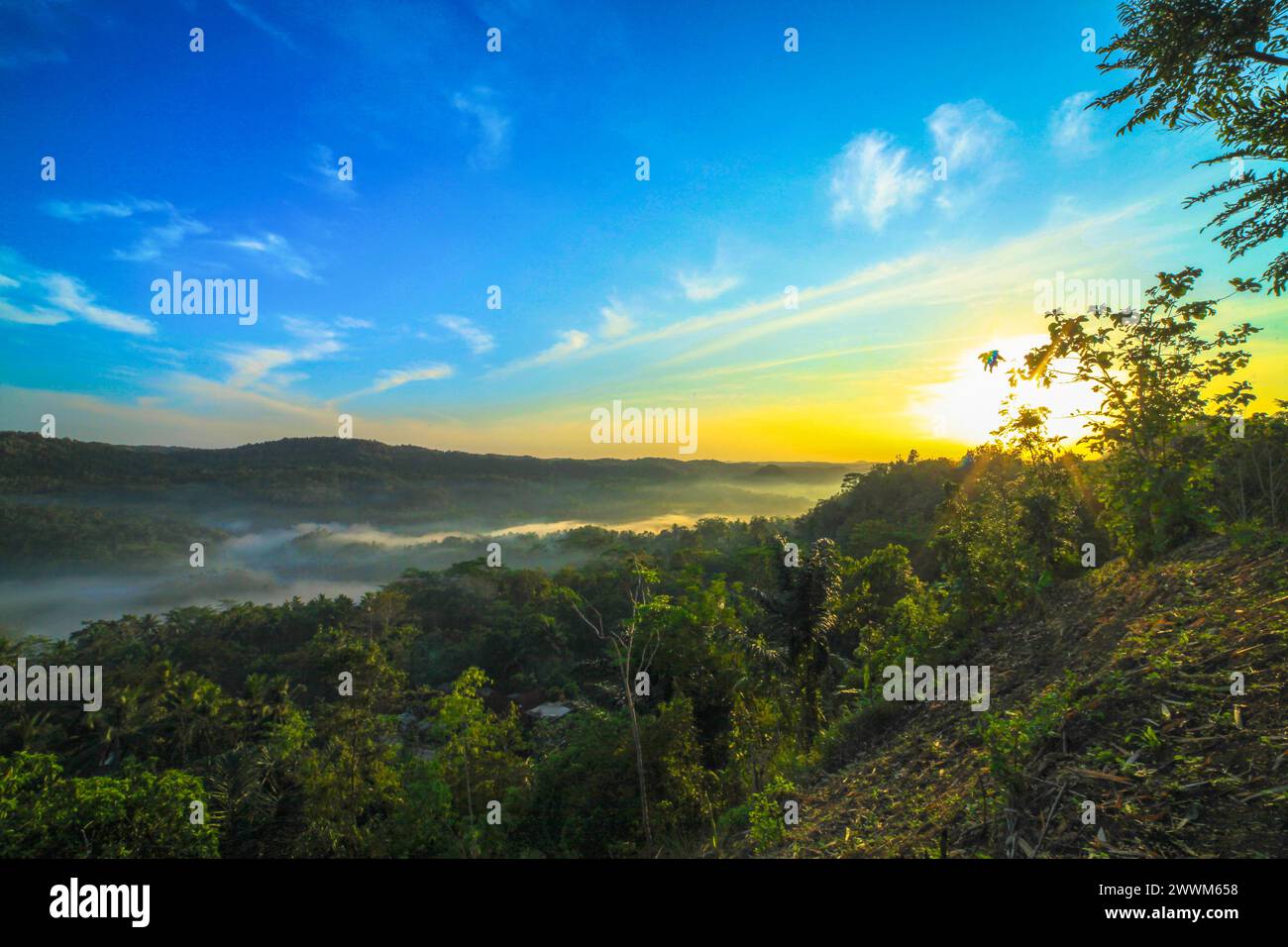 sunset in the mountain, plantation tea Stock Photo - Alamy
