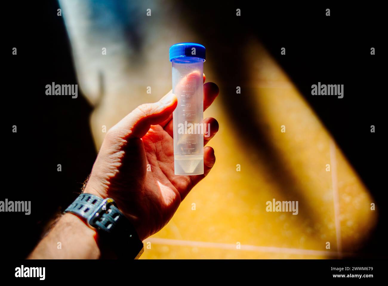A photo of holding Falcon tube in a sunny lab depicts scientific ...