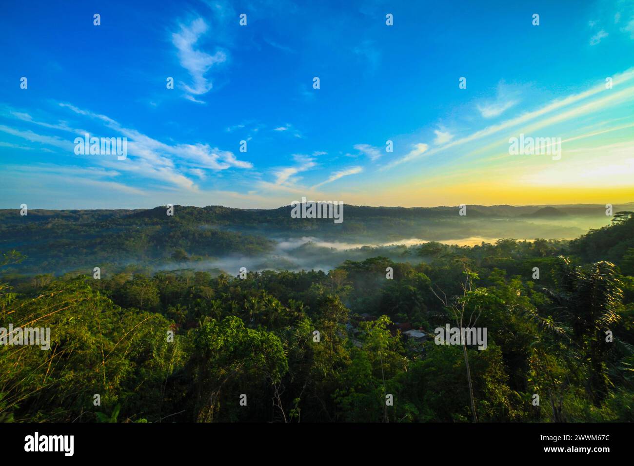 sunset in the mountain, plantation tea Stock Photo - Alamy