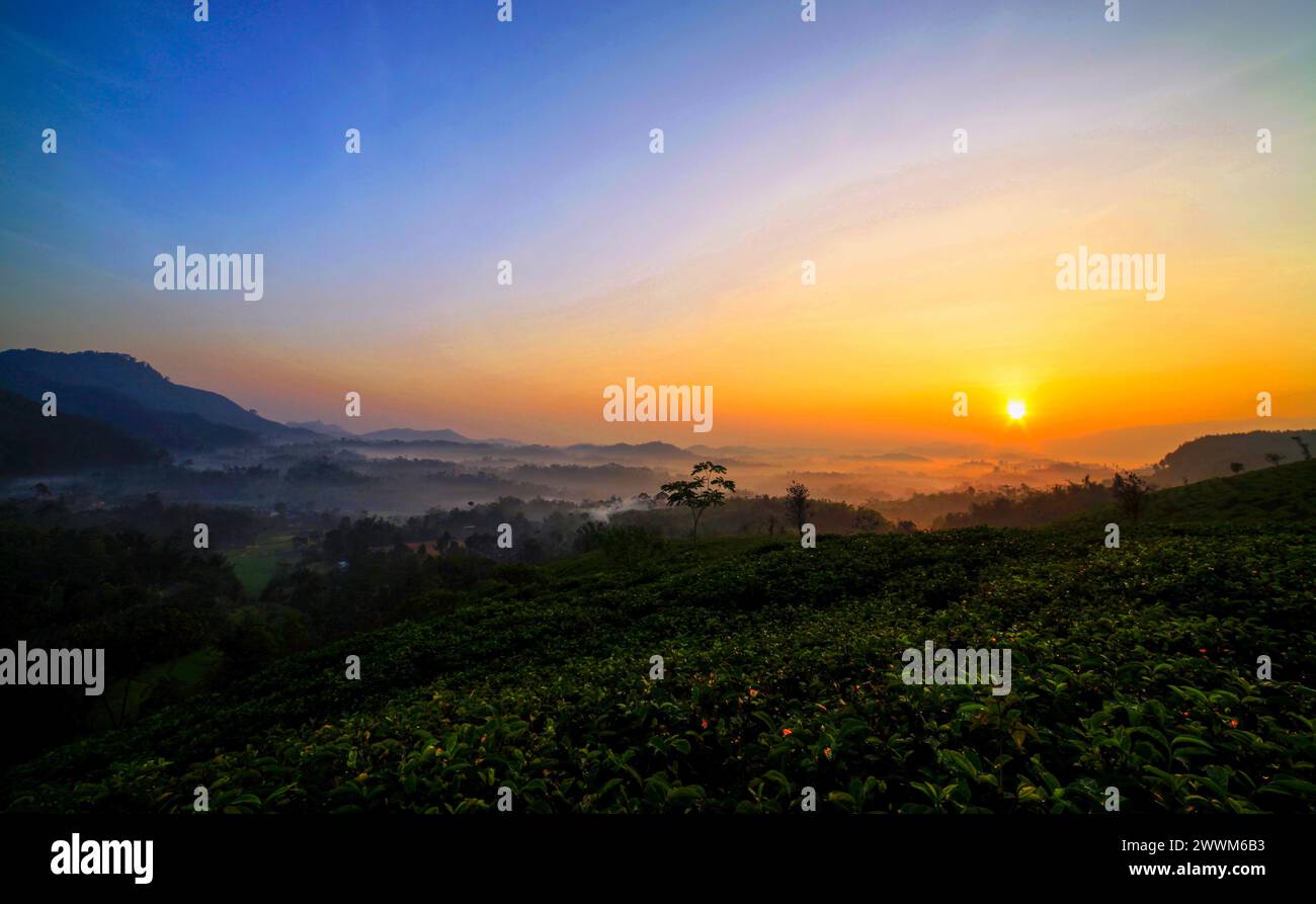 sunset in the mountain, plantation tea Stock Photo - Alamy
