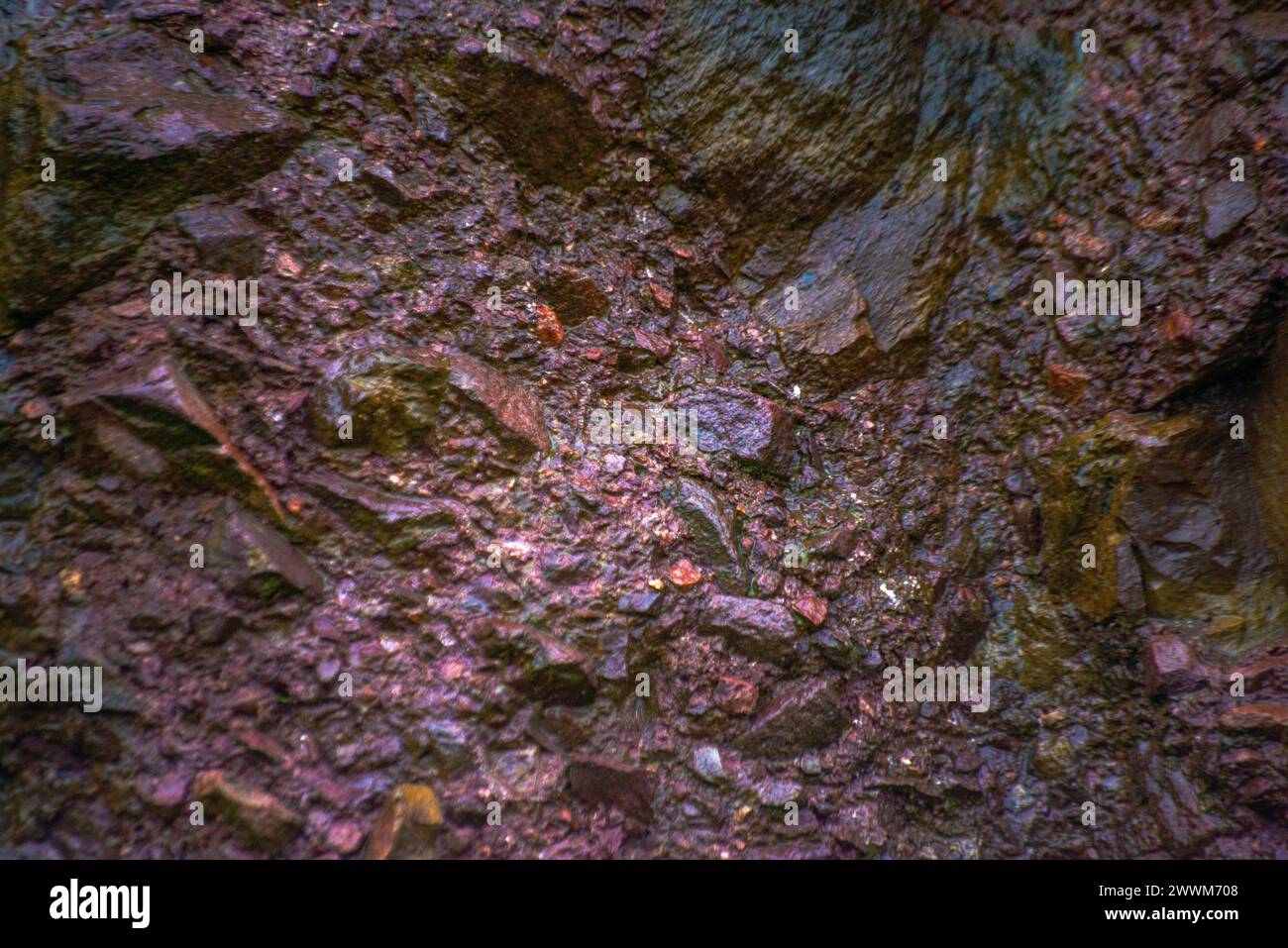 A rich and earthy canvas, the muddy surface background captures the ...