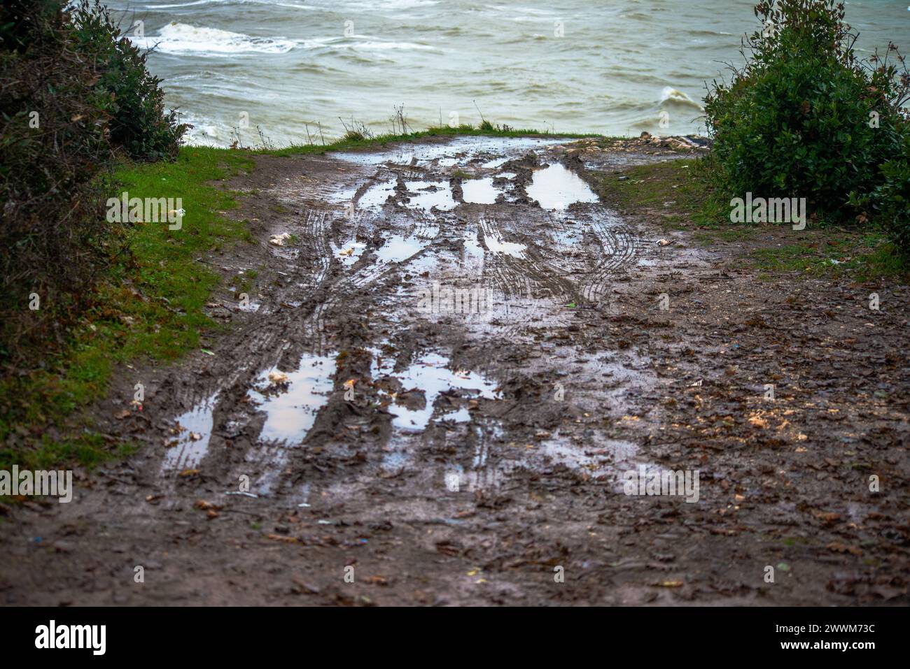 Explore the rugged beauty of a muddy ground on the coast, imprinted ...