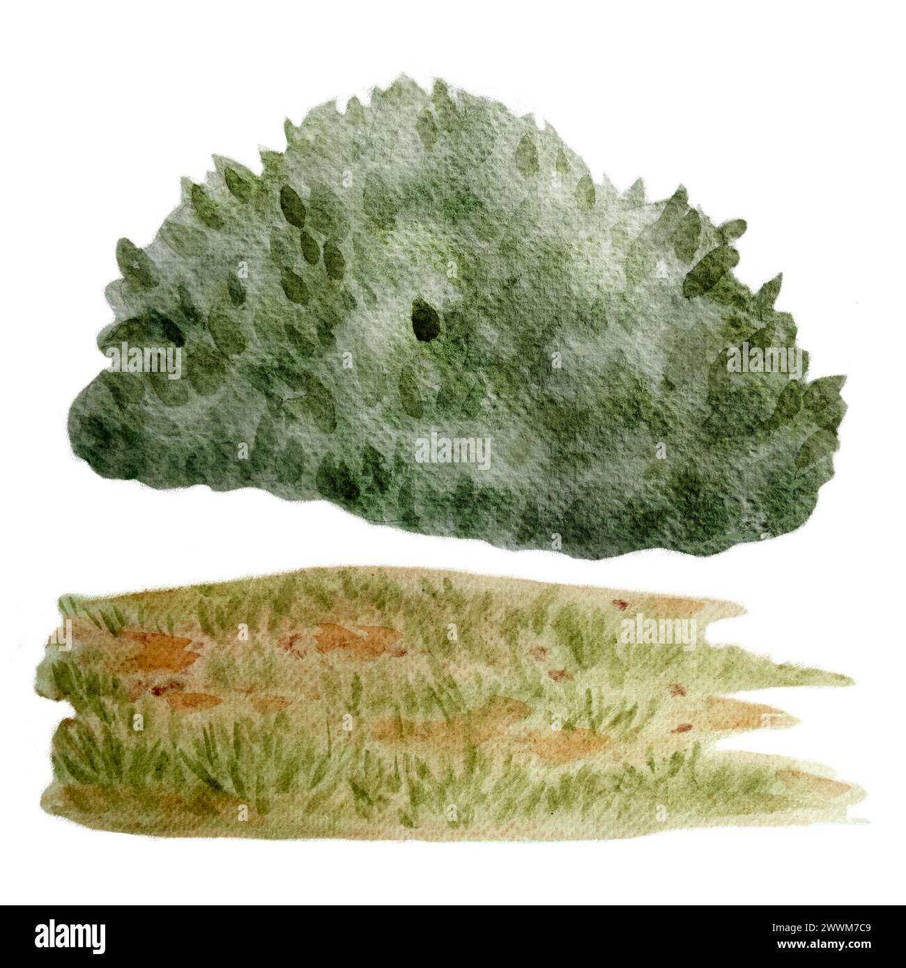 Bush watercolor illustration set isolated on white Stock Photo - Alamy