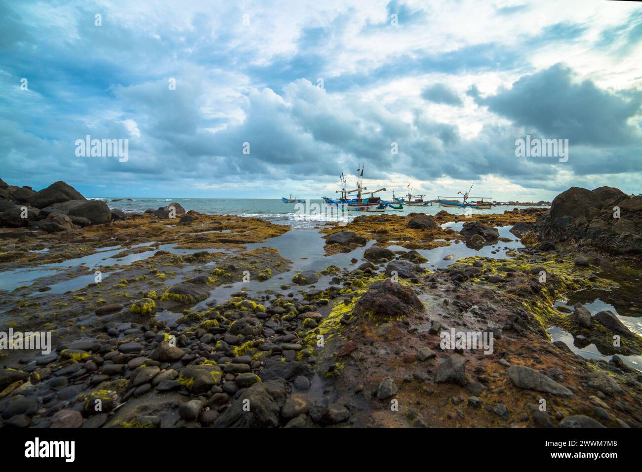 Jayanti beach hi-res stock photography and images - Alamy