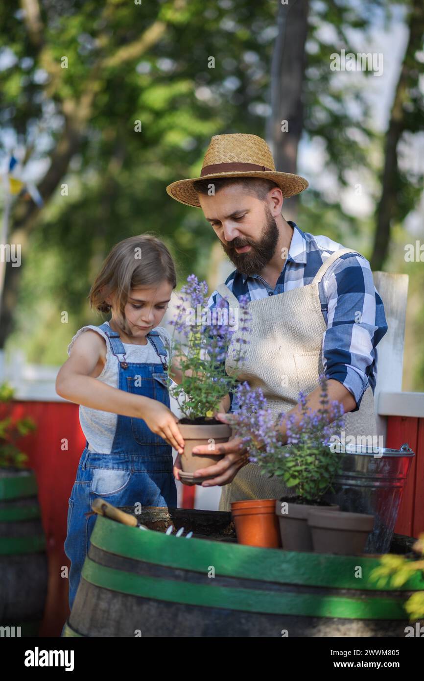 Father and young daughter planting lavender plant in pot at family farm ...