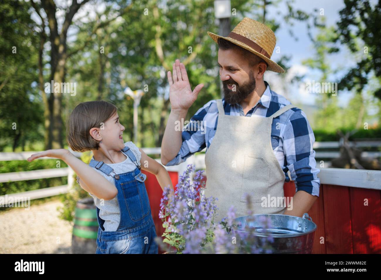 Father and young daughter planting lavender plant in pot at family farm ...