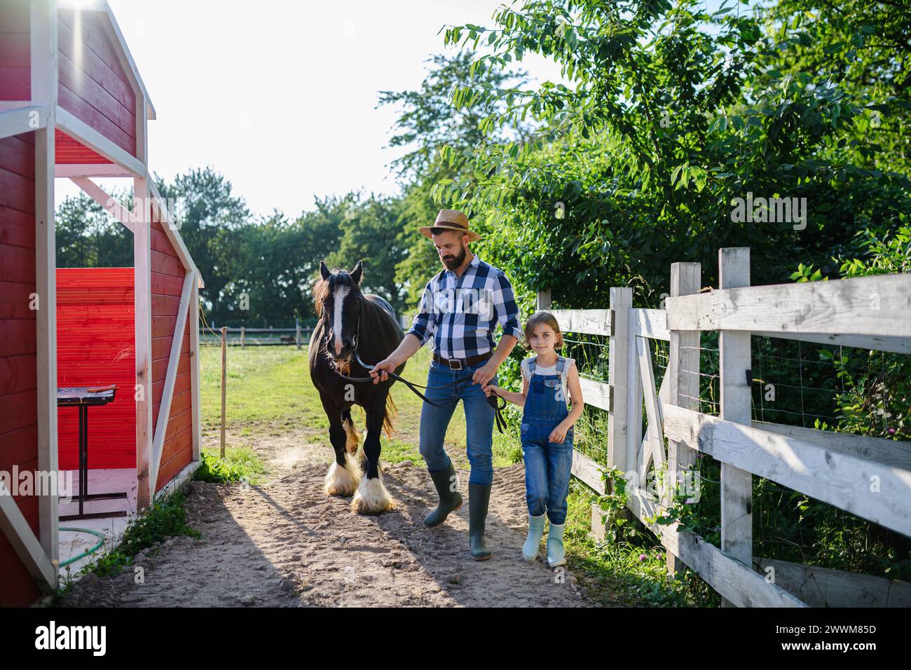 Father and young daughter taking care of a horse on a farm, leading it ...